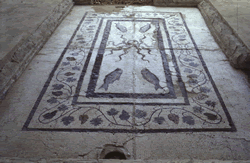 MoliSeb Wine & Food Blog: TINTILIA