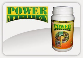 POWER NUTRITION NUTRISI KHUSUS UNTUK BUAH