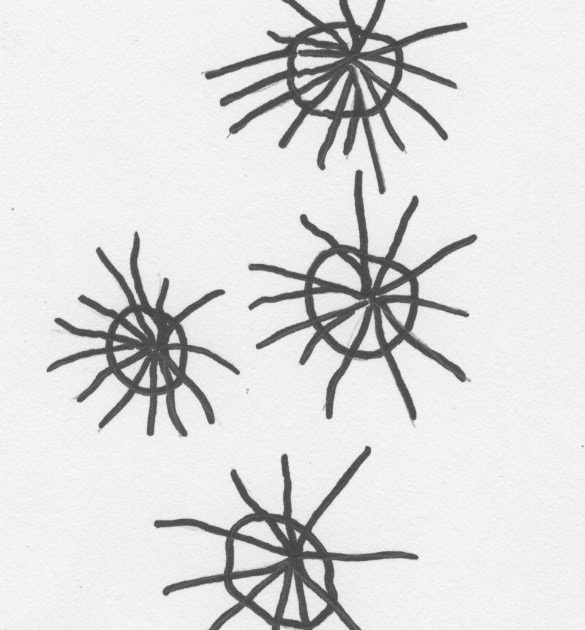 Life Before the Dinosaurs: Choia.