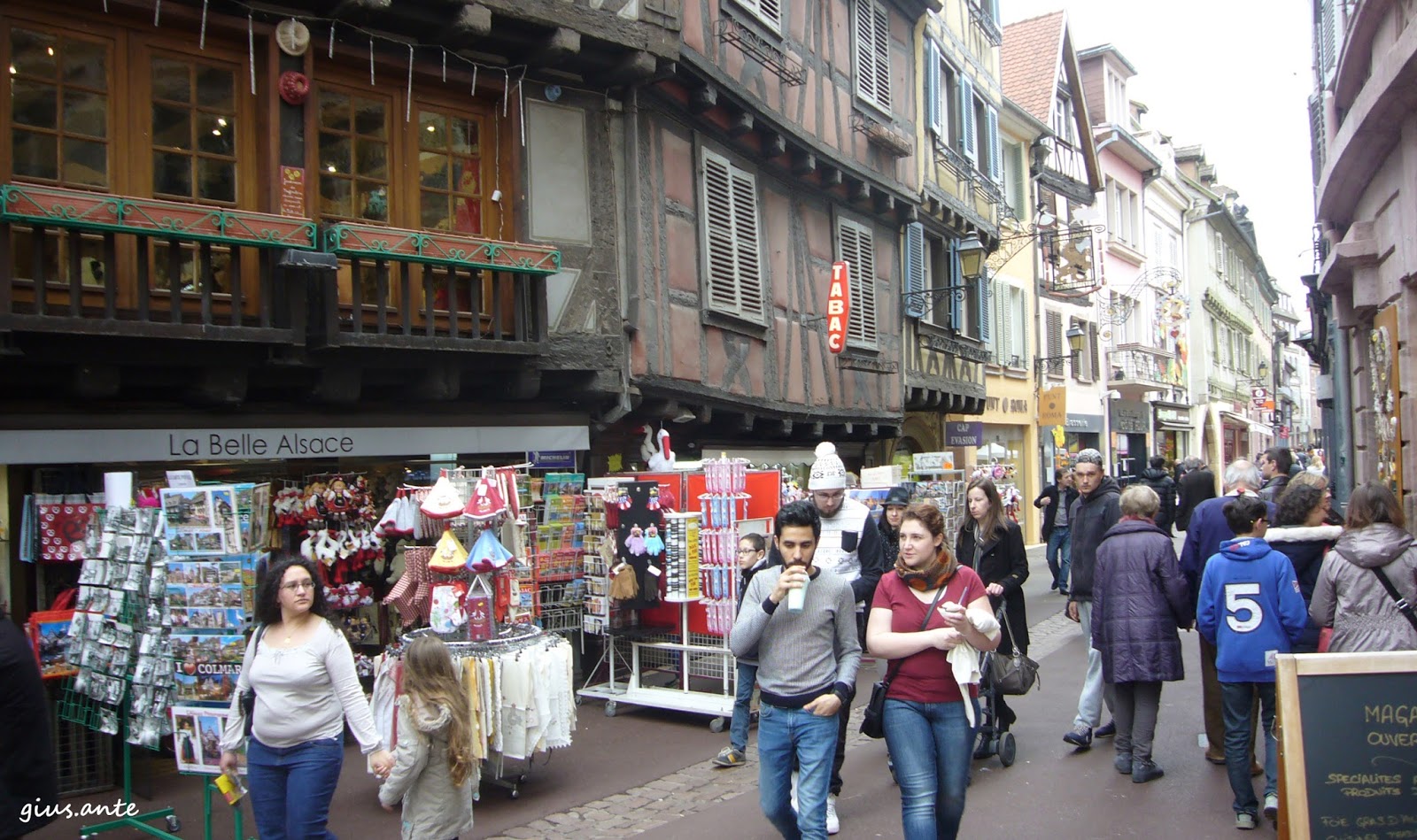 camminare leggendo: Colmar, la Madonna del roseto