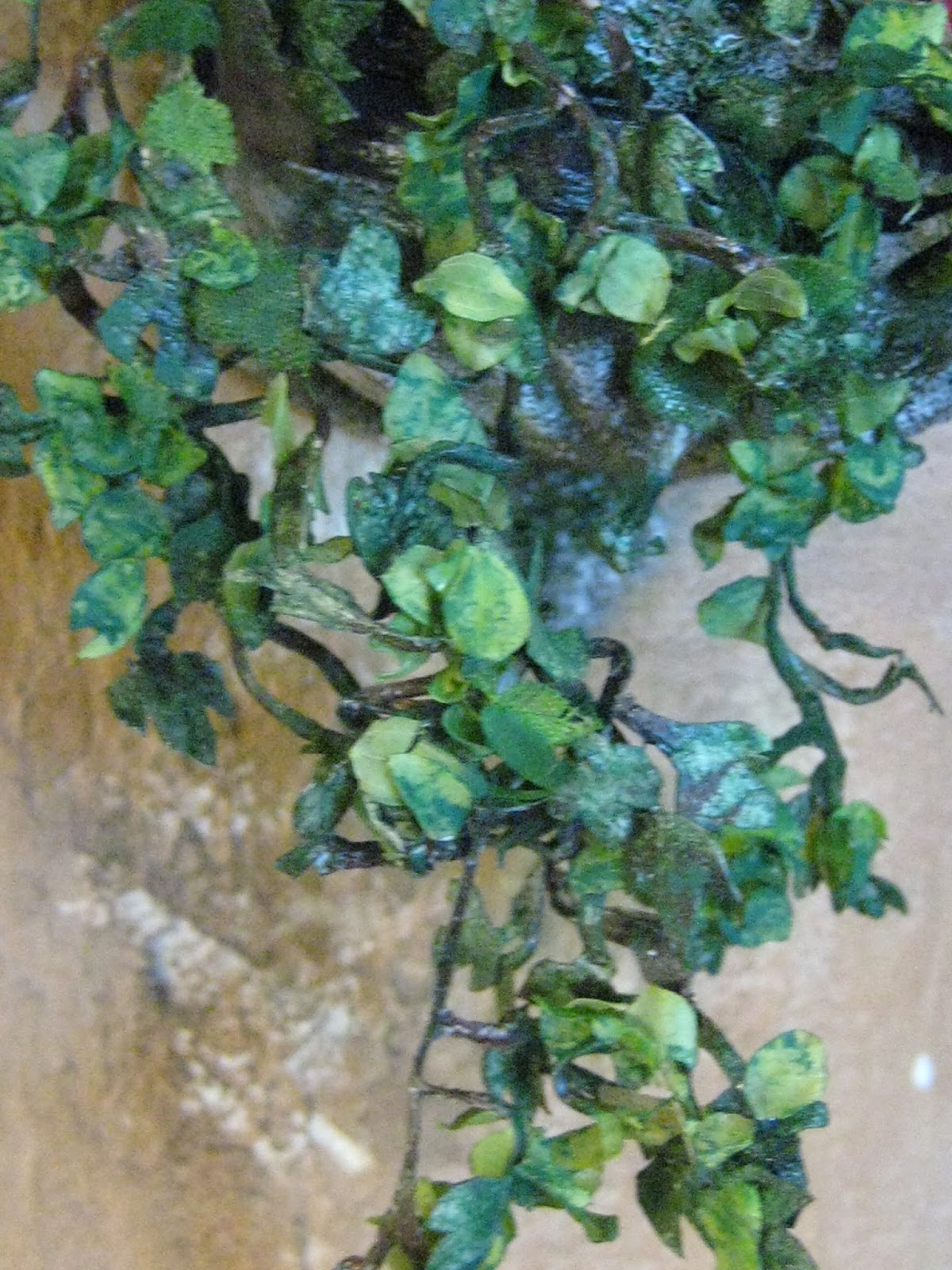 Studio E: " a Liitle lamsy- divey" Ivy tutorials 1.2.3