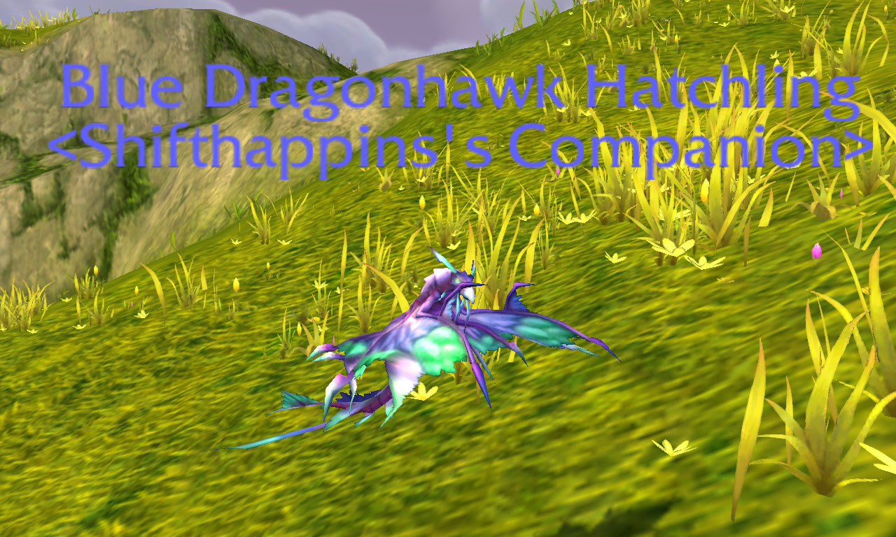 WOW Companion Collector: Blue Dragonhawk Hatchling (uncommon lvl 1)