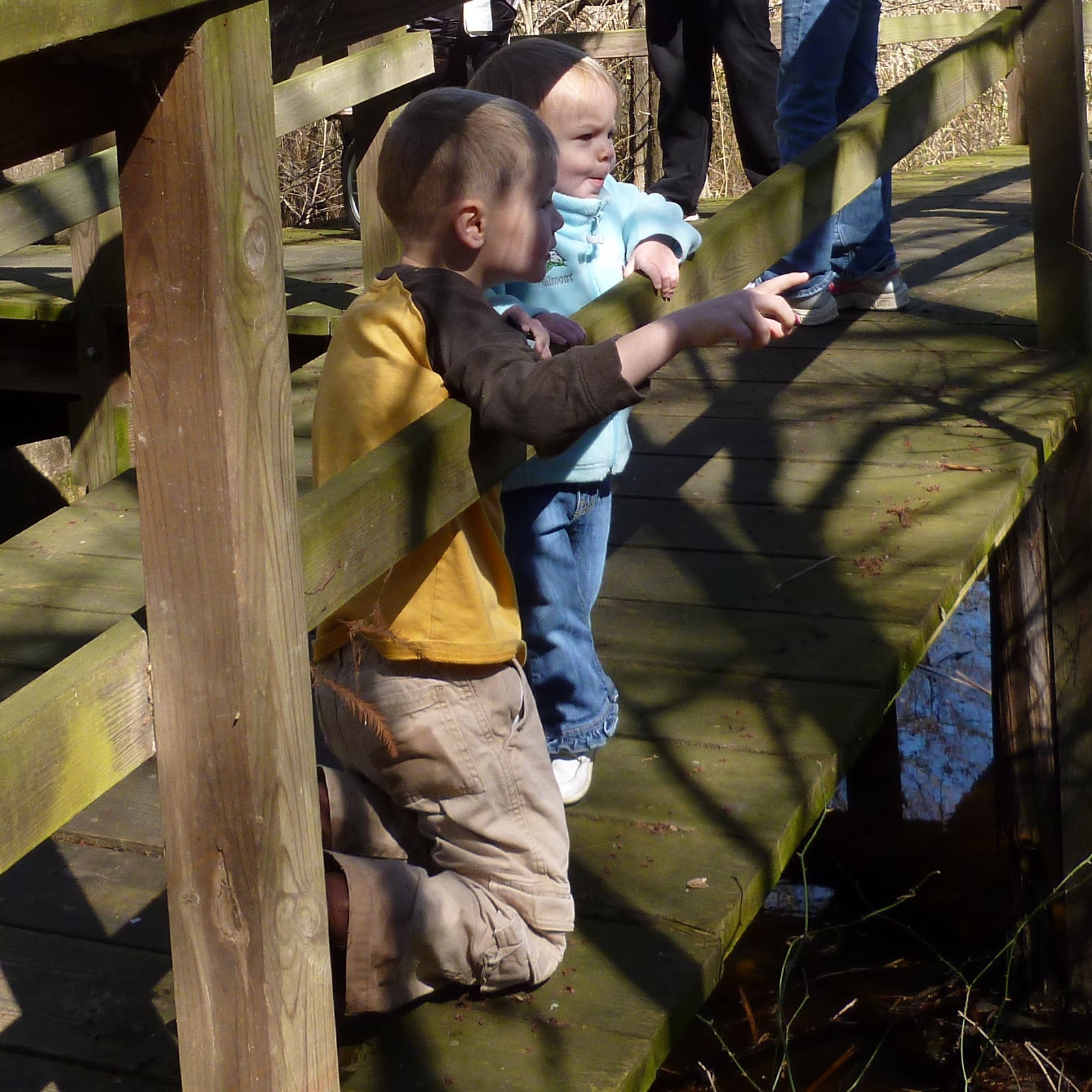 Aut-2B-Home in Carolina: What Happens When You Kiss a Frog?