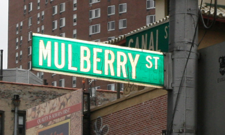 Mulberry Tarts: WELCOME TO MULBERRY STREET!