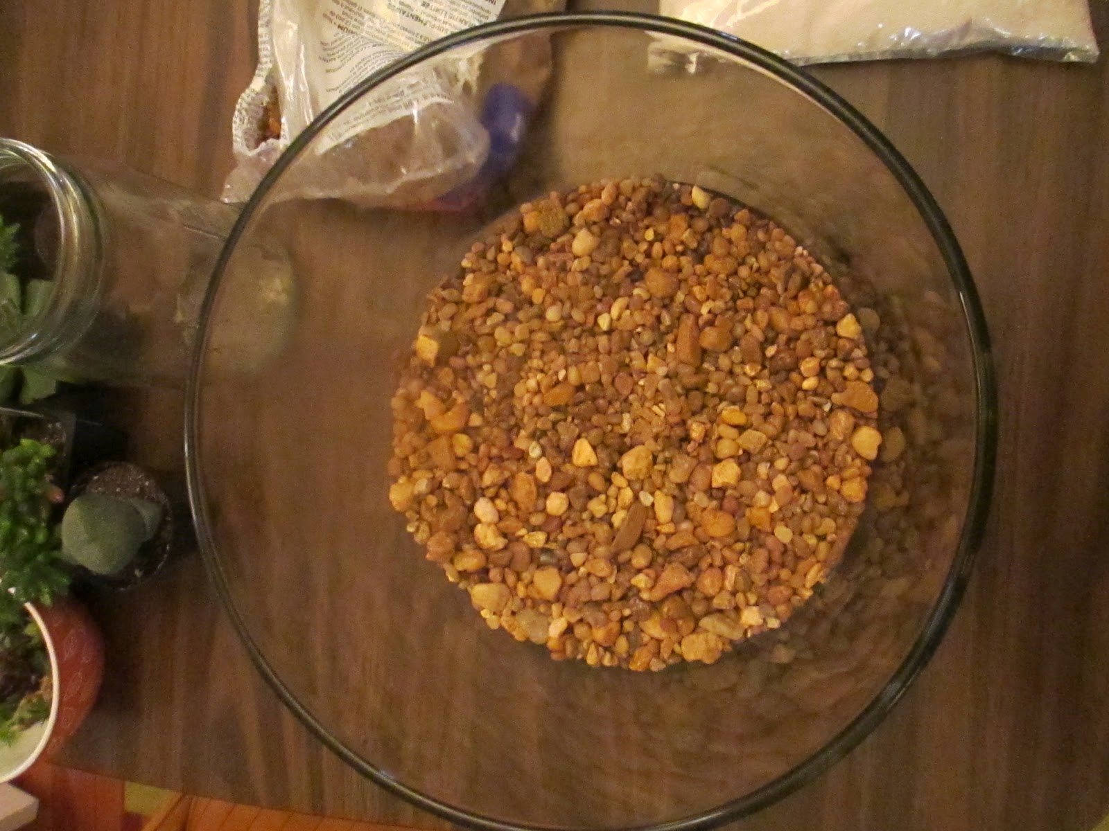 Grandma Henley: Terrariums aka the Mini-Garden Parfait