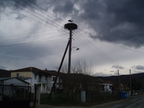 PARAPOTAMOS SERRON: ΘΡΑΚΙΩΤΙΚΕΣ ΣΥΝΤΑΓΕΣ