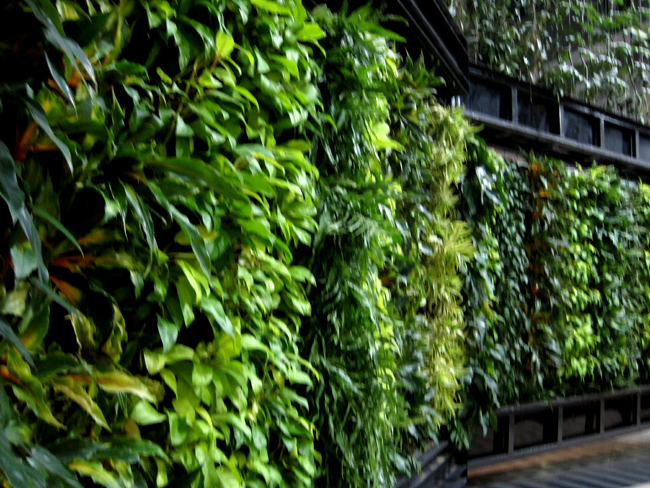 Tropical Garden and Landscape: Indoor Tropical Garden