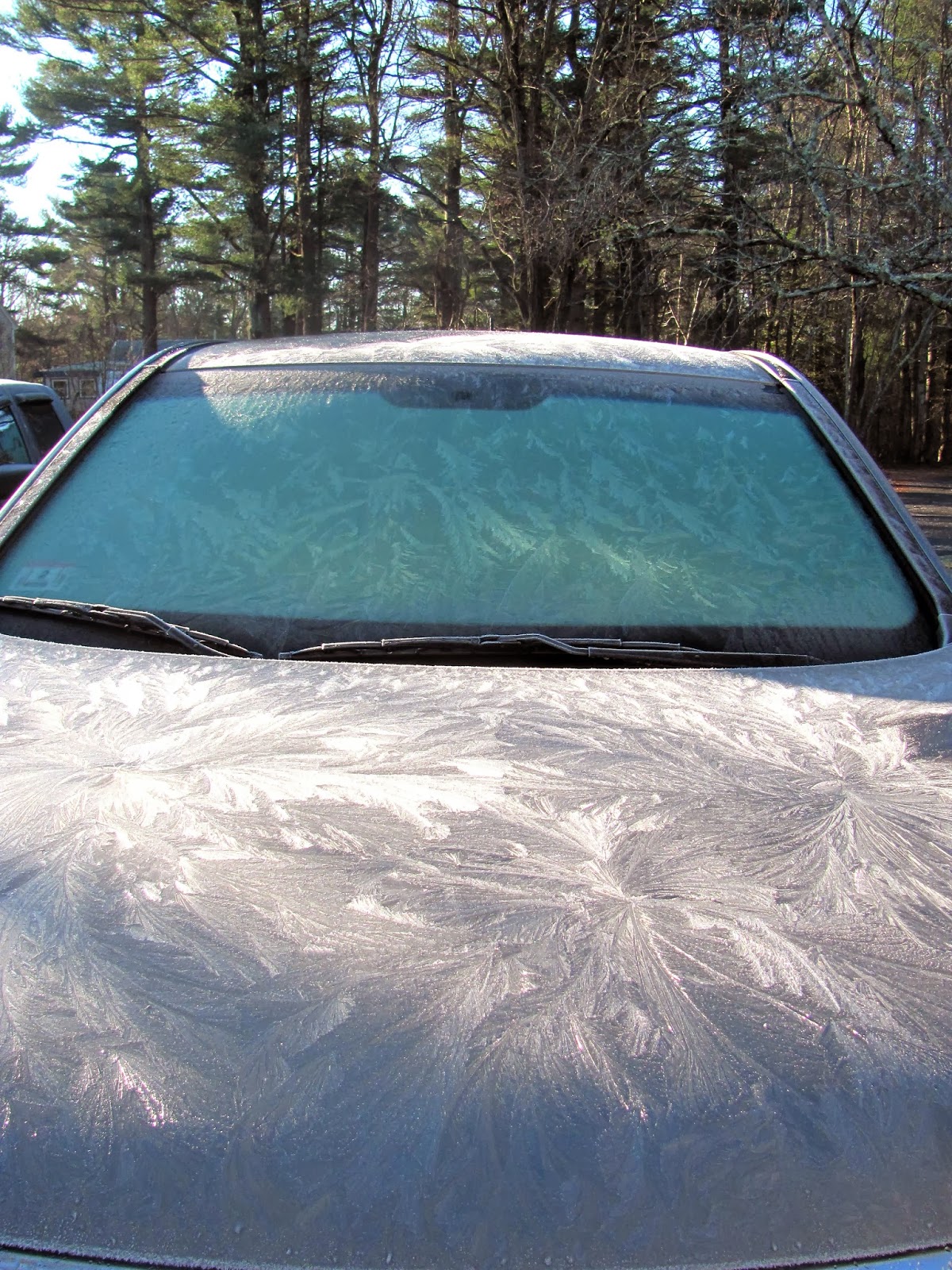 Elaine's Creative Works: Beautiful frost patterns on the car this morning