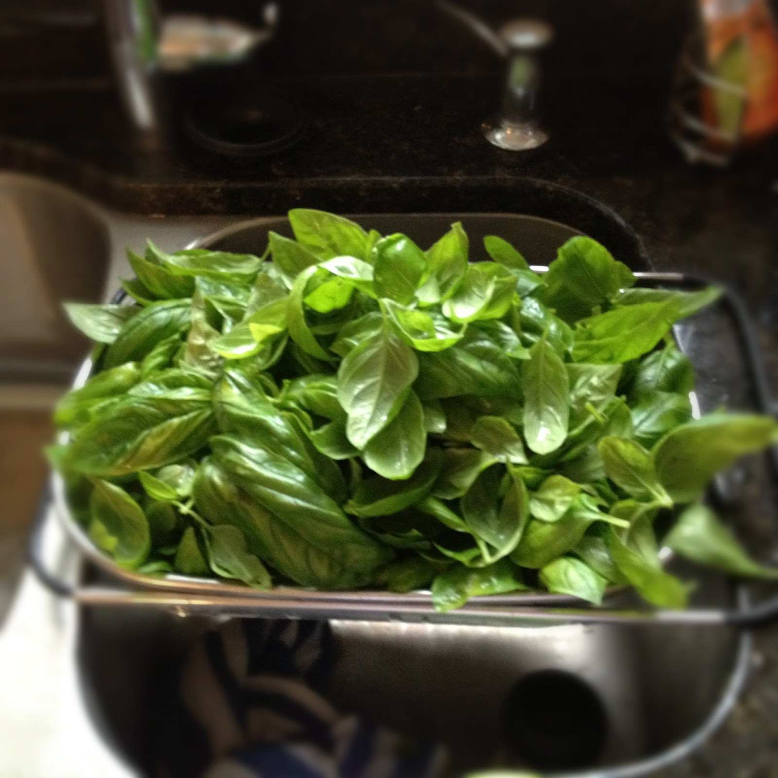 Thoughts from a swimmer: What to do with all that summer basil??