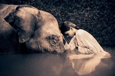 Gregory Colbert, 1960 ~ Canadian photographer | Tutt'Art@ | Pittura ...