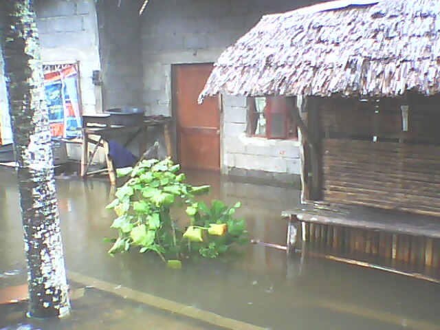 Kwen's PhotoBlog (신은정): Define BAHA!