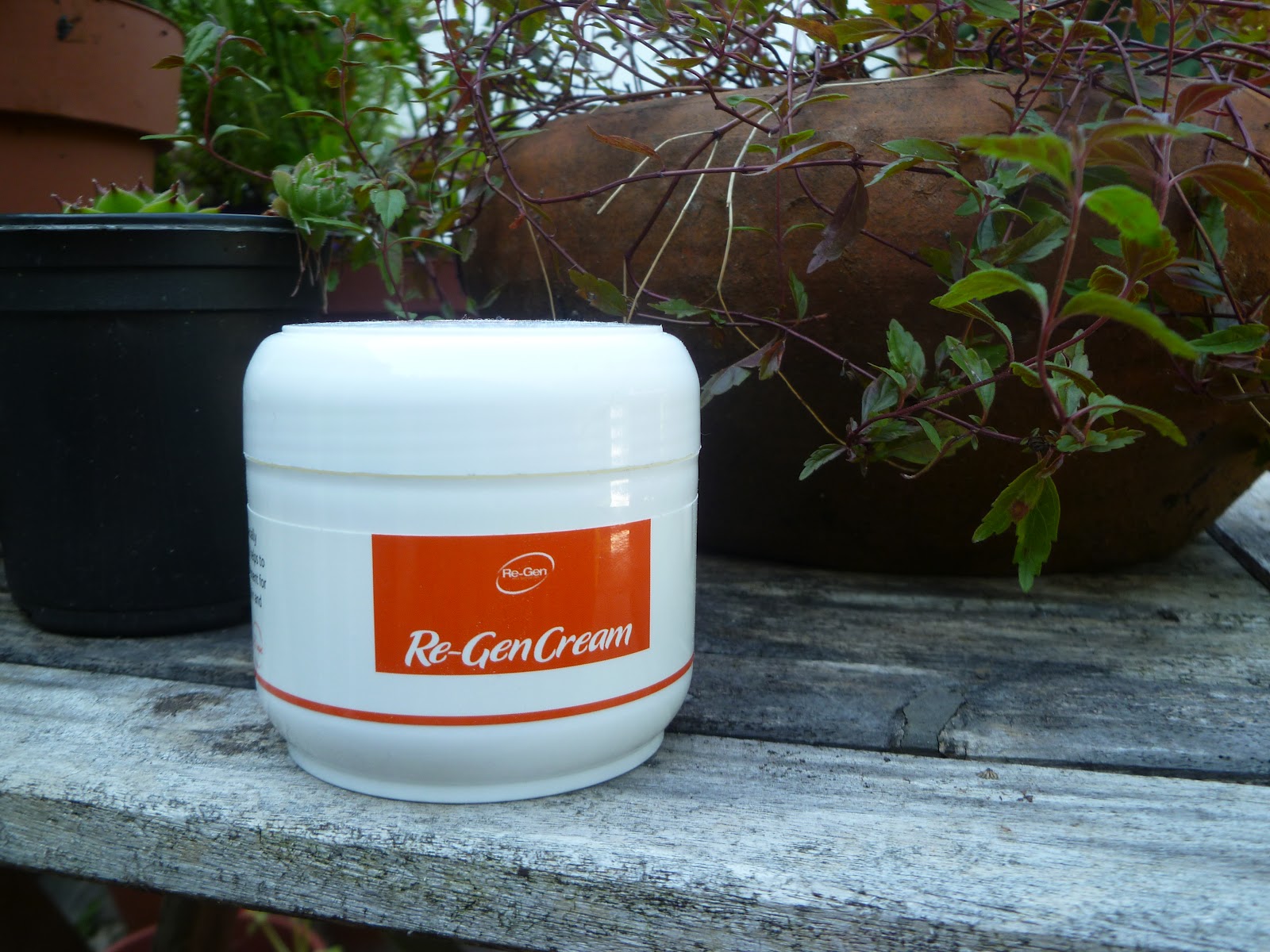 Things which make me smile: Re-Gen Cream Review