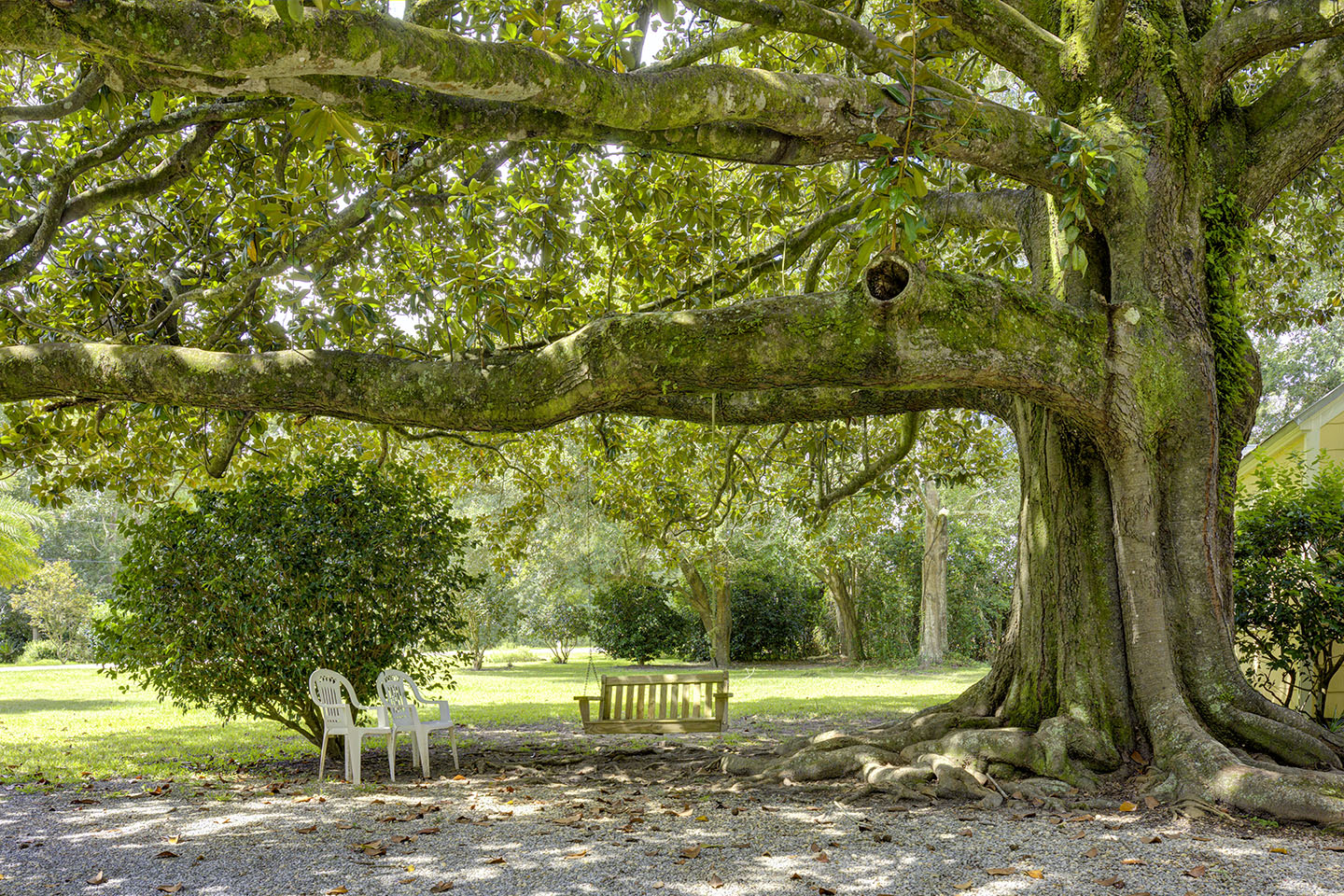 Mobile and Baldwin County Real Estate and History: Historic Magnolia ...