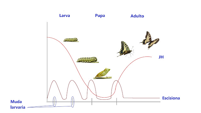 LUGAR VERDE: junio 2016