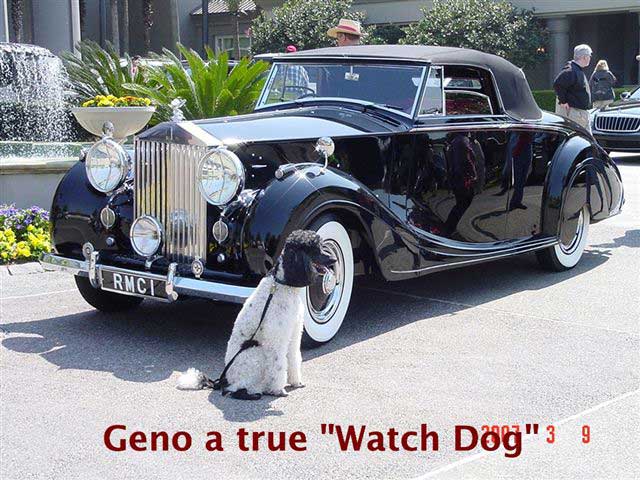 My Driving Passion: 1950 Rolls Royce