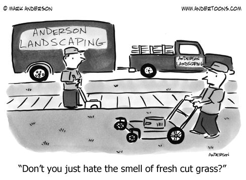 The Presurfer: Friday Cartoon By Mark Anderson