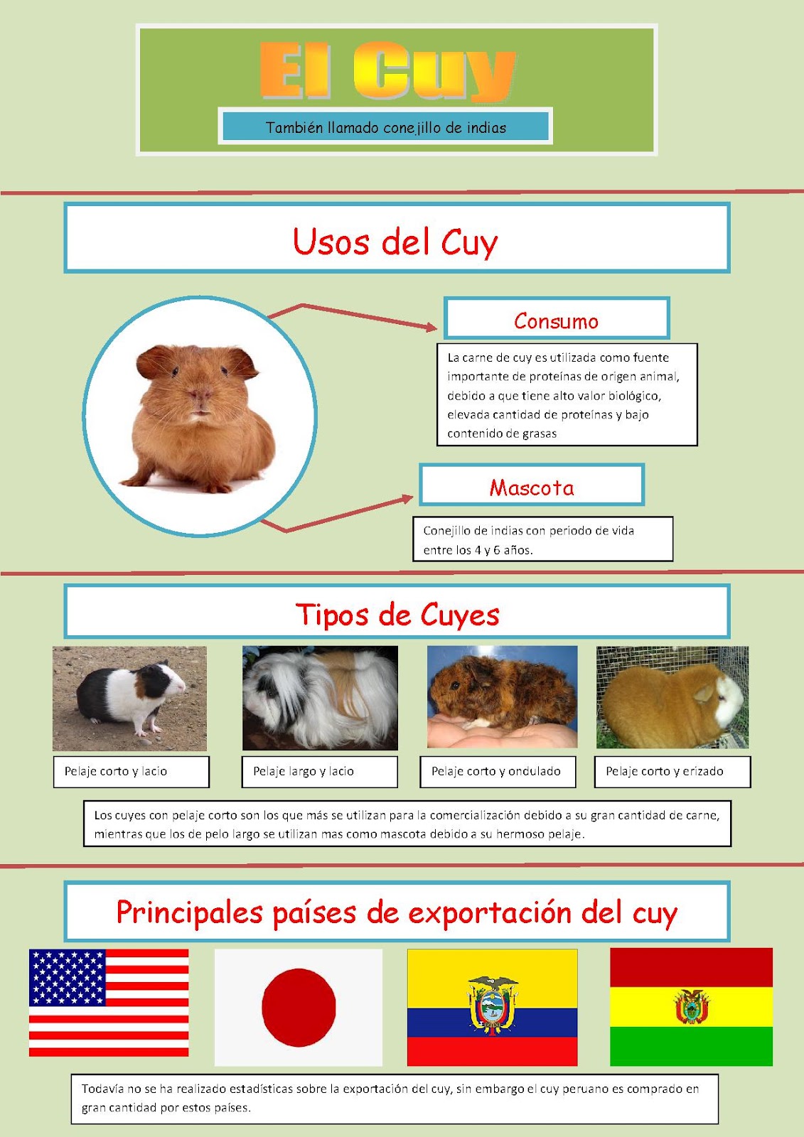 Mikhuna innova: Infografía : Cuy