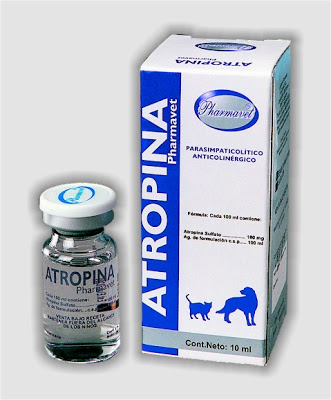 Info Fármaco: O que é e para que serve o antídoto ATROPINA...