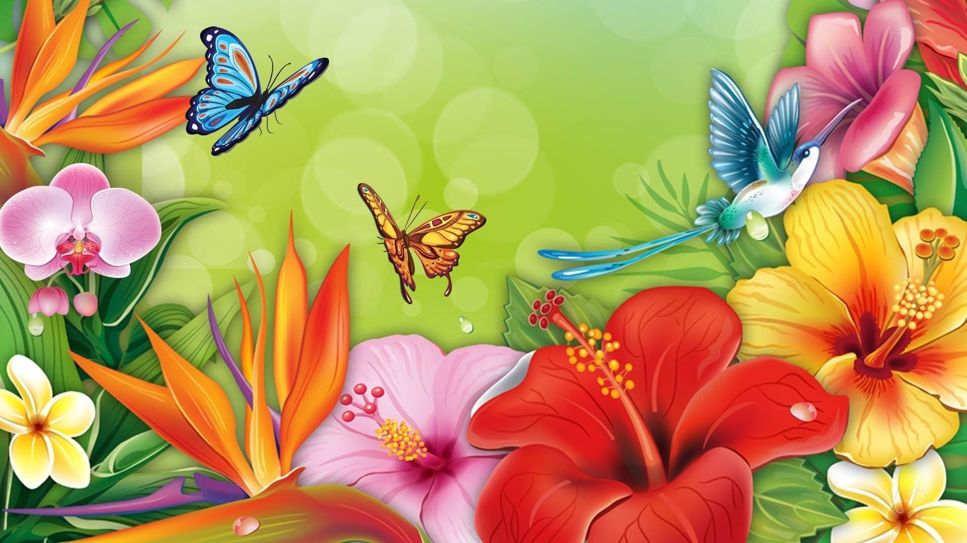 Wallpapers Fleurs - Pack 001 - Wallpapers & Partage