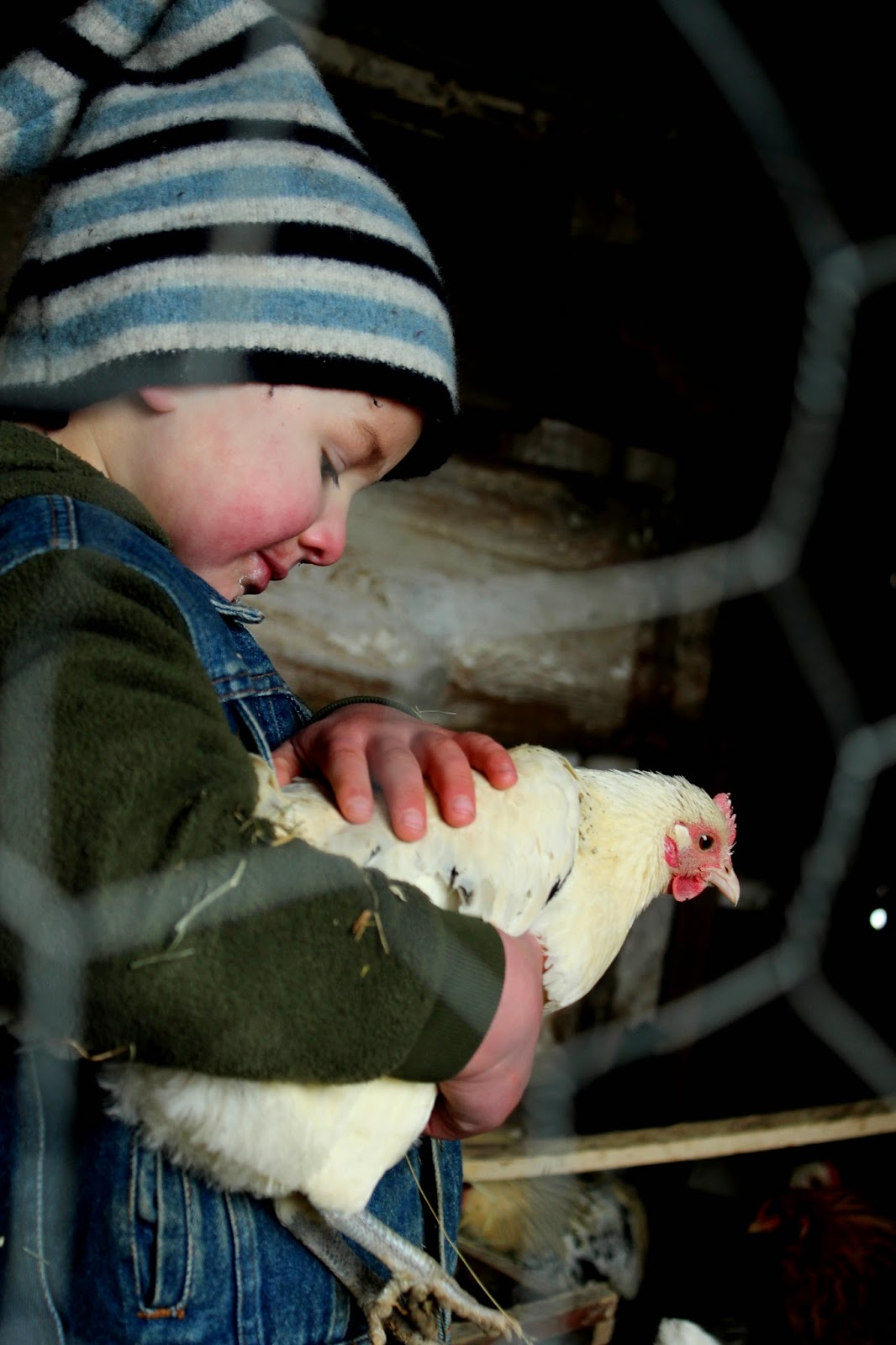 Renaissance: The Proper Way to Hold Chickens