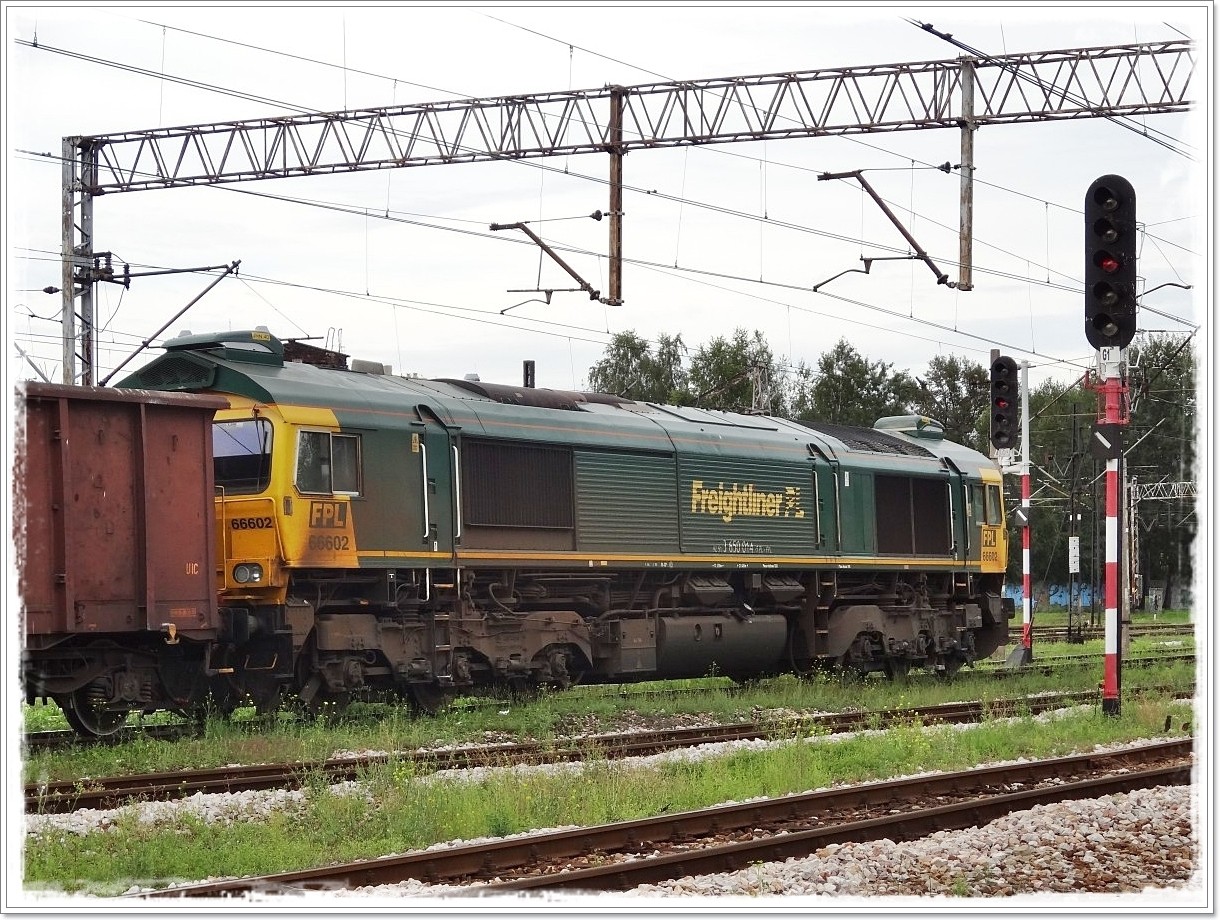 Spłoszony Szerszeń 66602 FPL | Kolejowe Kielce