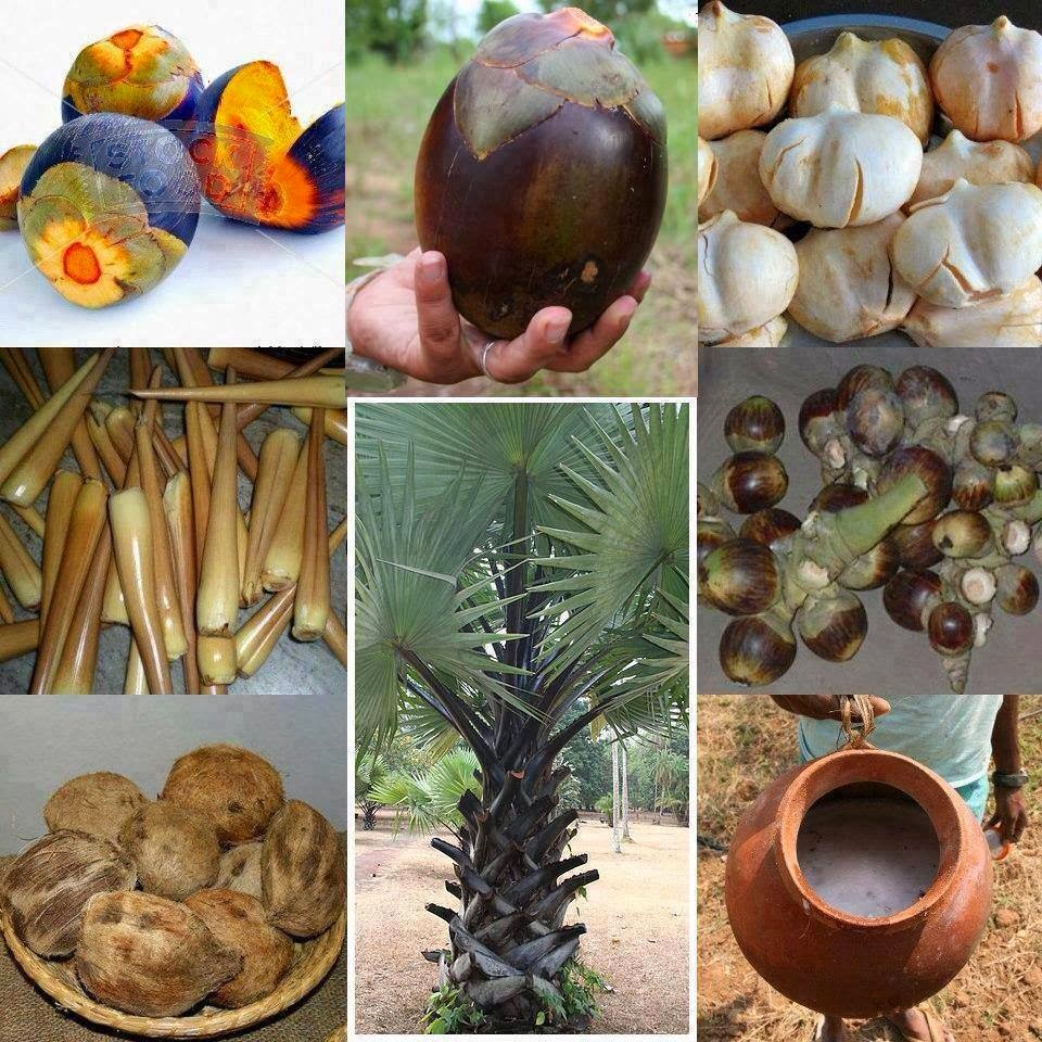 TELUGU WEB WORLD: 03/10/14