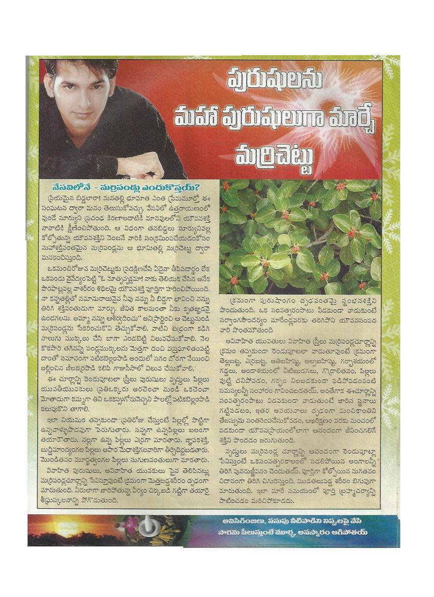 AYURVEDAM - ఆయుర్వేదం: MARRI PANDLU ( BANYAN FRUITS ) - AYURVEDAM