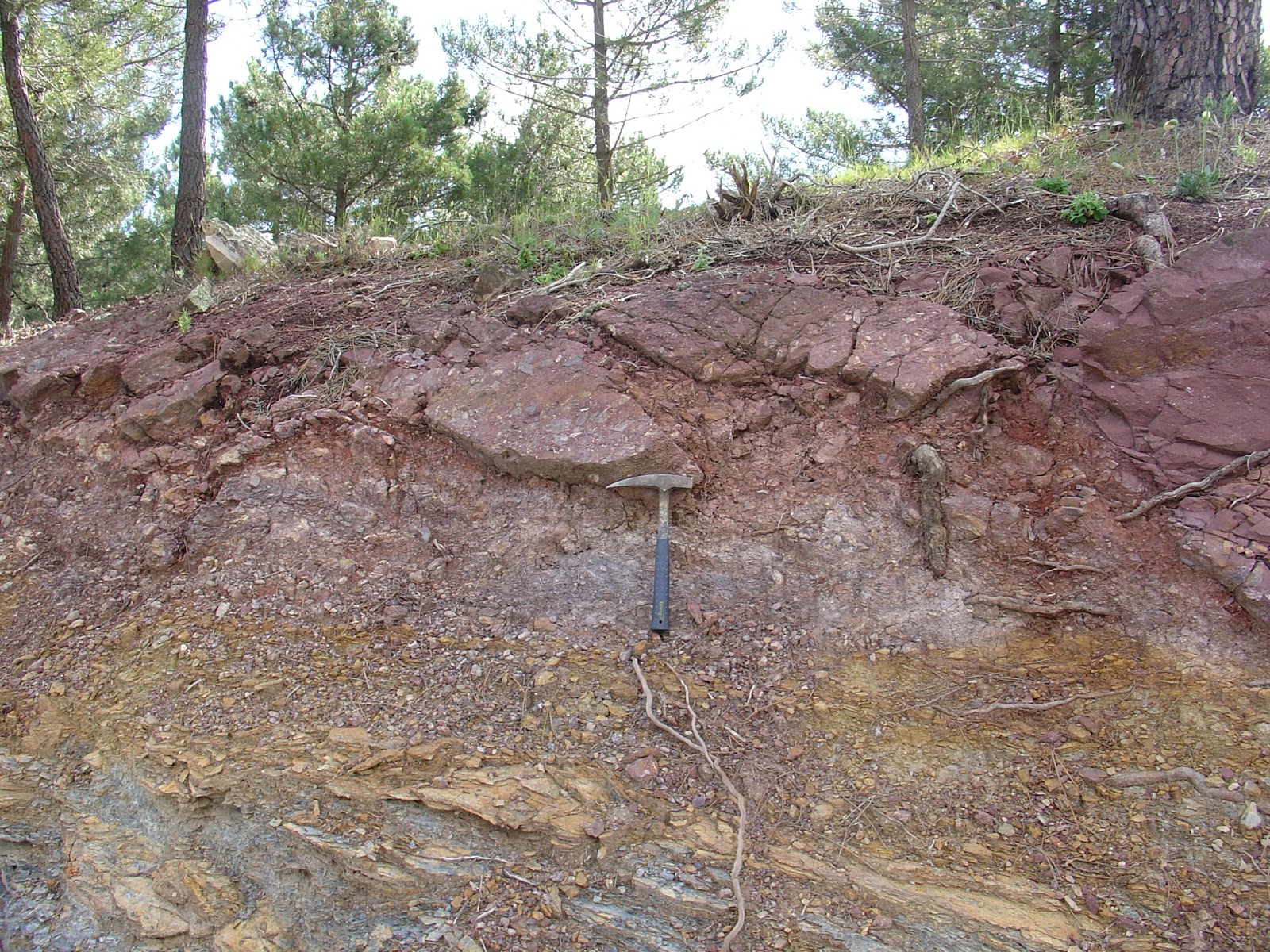 Mi Geoblog: Geologia y más: EL PALEOZOICO DE HIGUERAS - PAVIAS