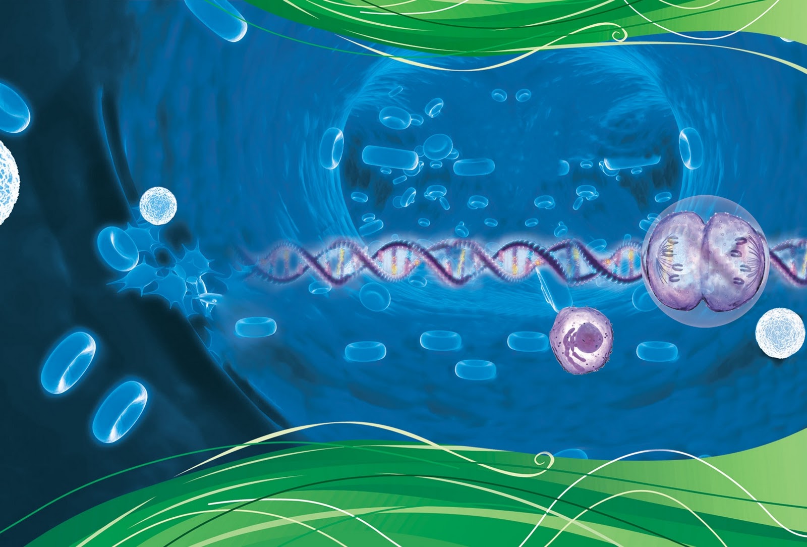 Biologia Celular: BIOLOGÍA CELULAR