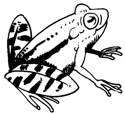 39+ Lukisan Katak, Trend Inspirasi!