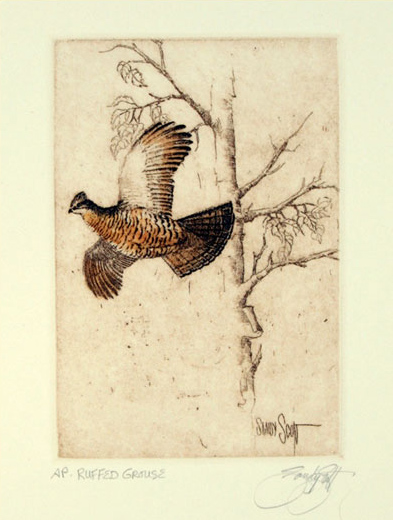 Sandy Scott Art: #73 In the field: Ruffed grouse sculpture (Bonasa ...
