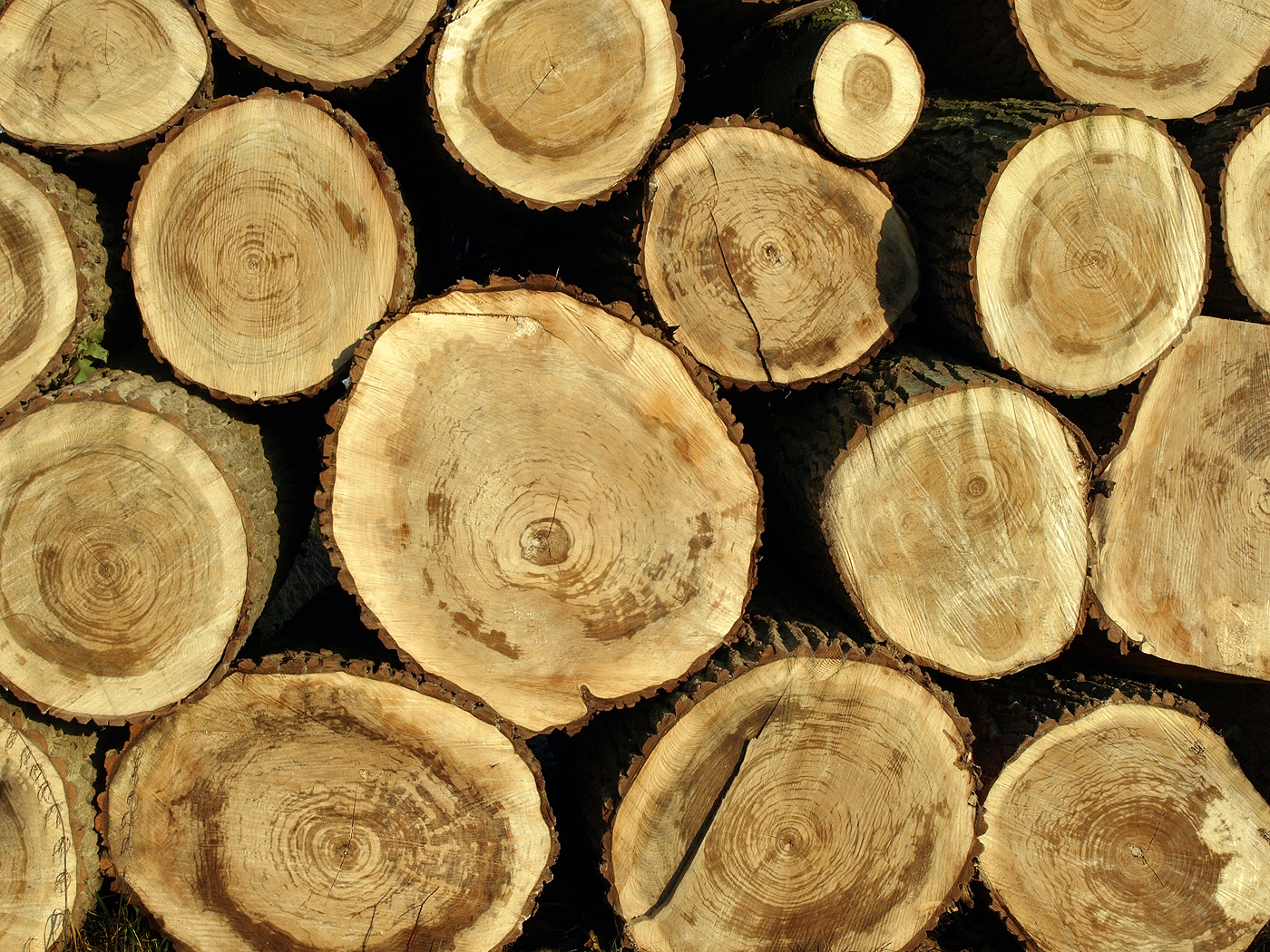 Lumanari decorative 100% naturale