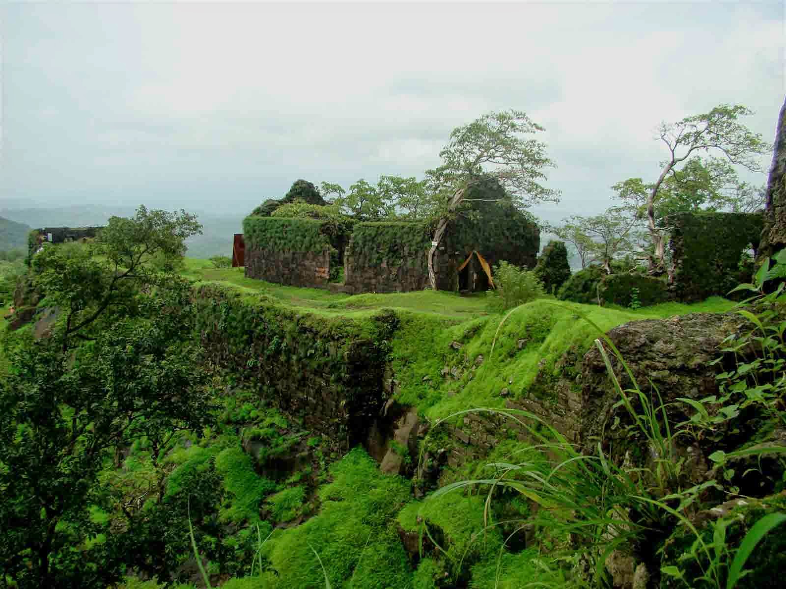 Exotic Destinations: Karnala Bird Sanctuary, Panvel, Raigad, Maharashtra