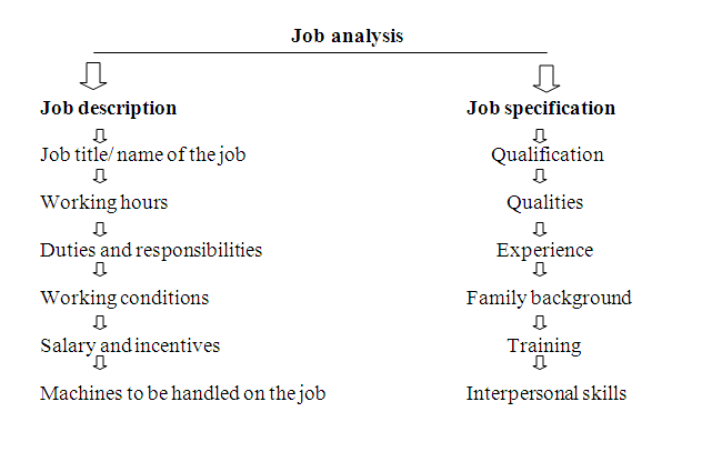 Meta Management(M/M): JOB ANALYSIS, JOB DESIGN, JOB EVOLUTION