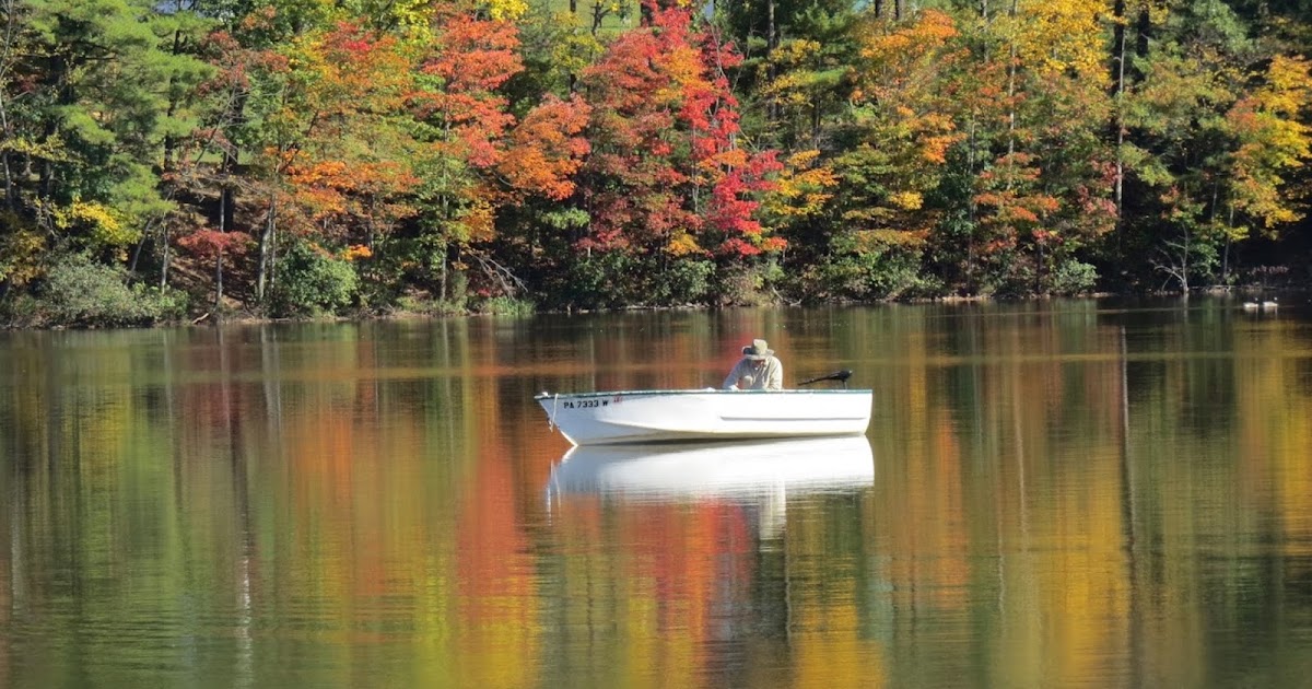 PA Environment Digest Blog: Discover Sweet Arrow Lake Park, Schuylkill ...