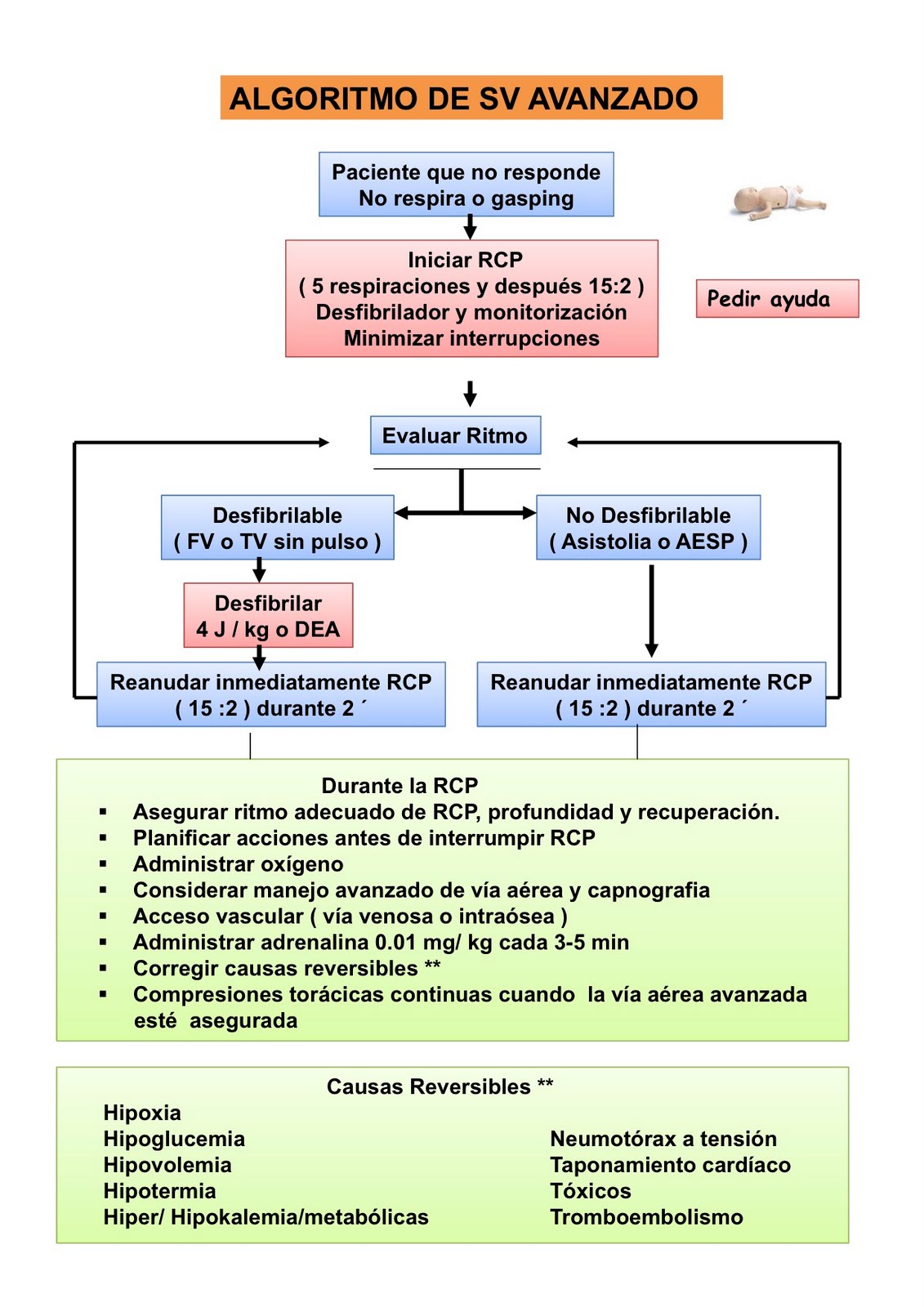 Pediatria 2012: Reanimacion 2010
