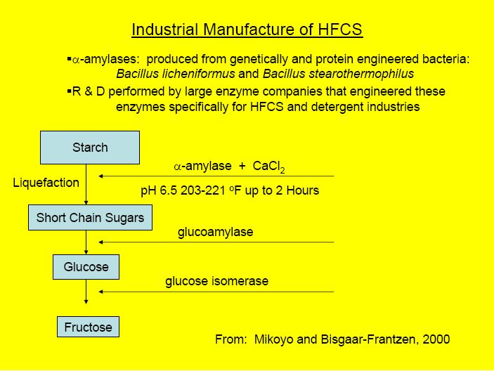 Woodstock Earth Blog