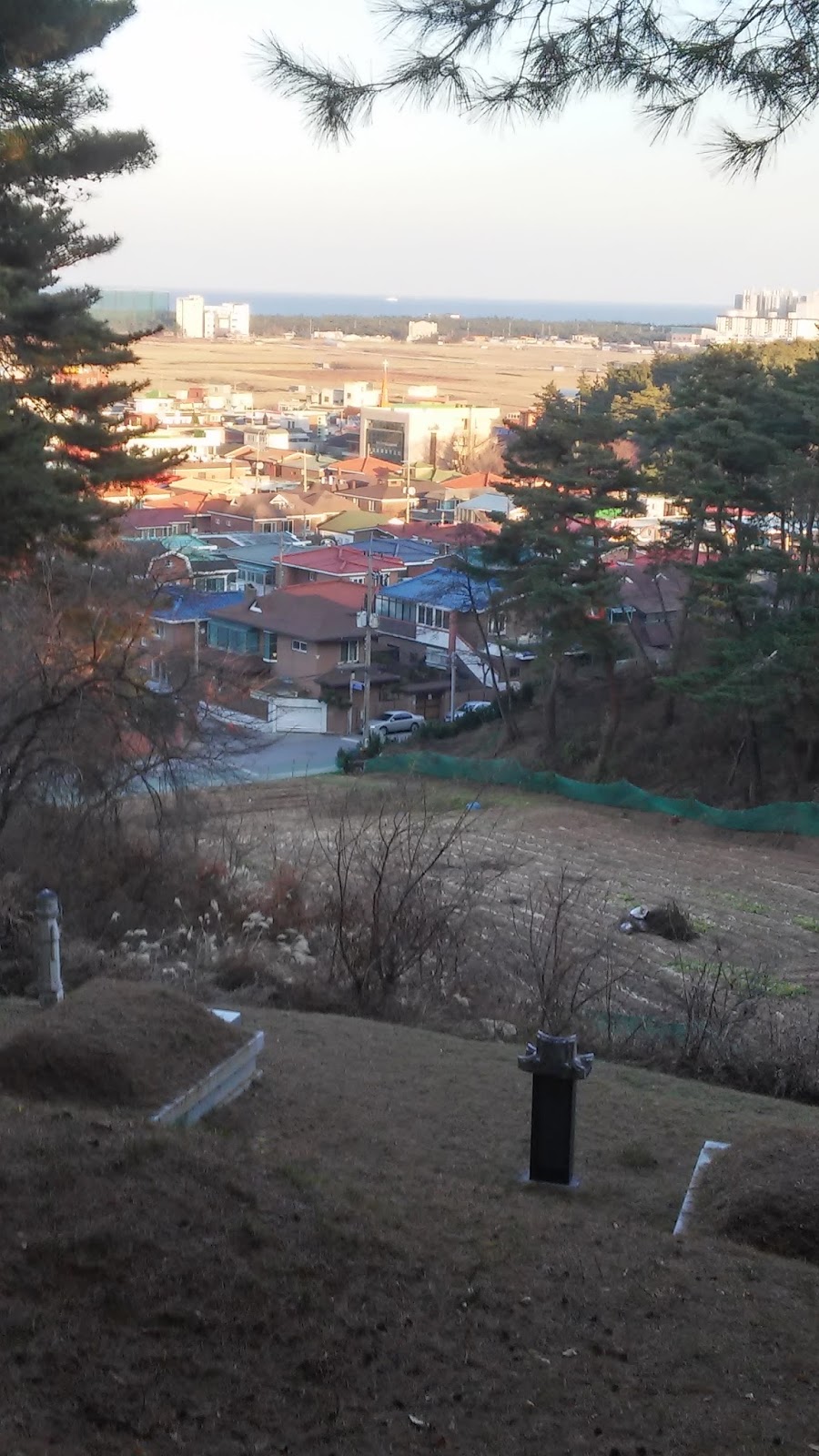 Blown To Smithereens: Poop Mountain