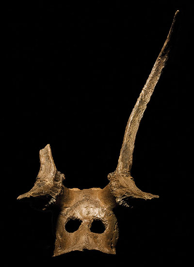 bensozia: Starr Carr