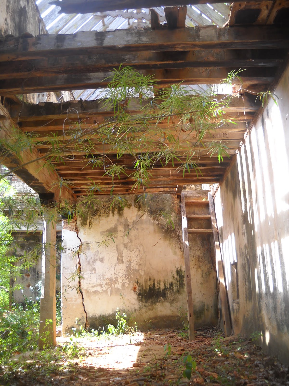 Tamilnadu Tourism: Eraniel Palace Ruins, Eraniel, Kanyakumari