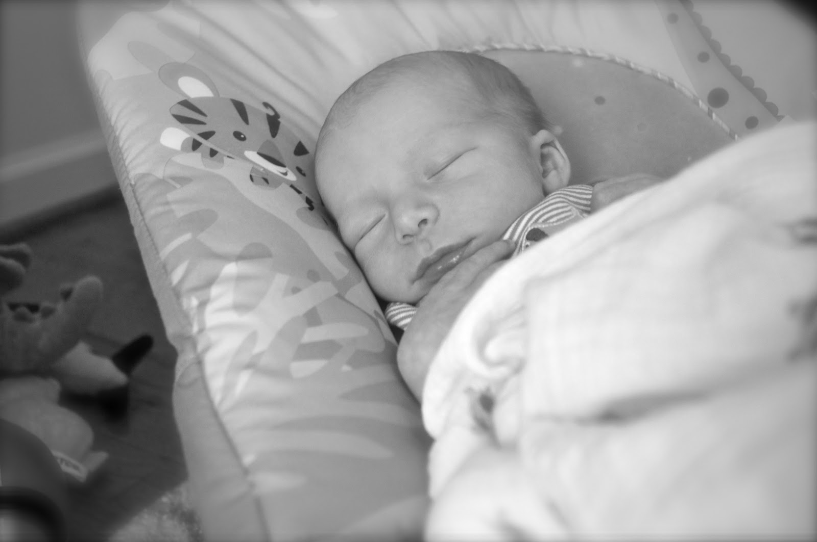 Confessions of a Book Addict: Welcome to the World, Baby Dylan!