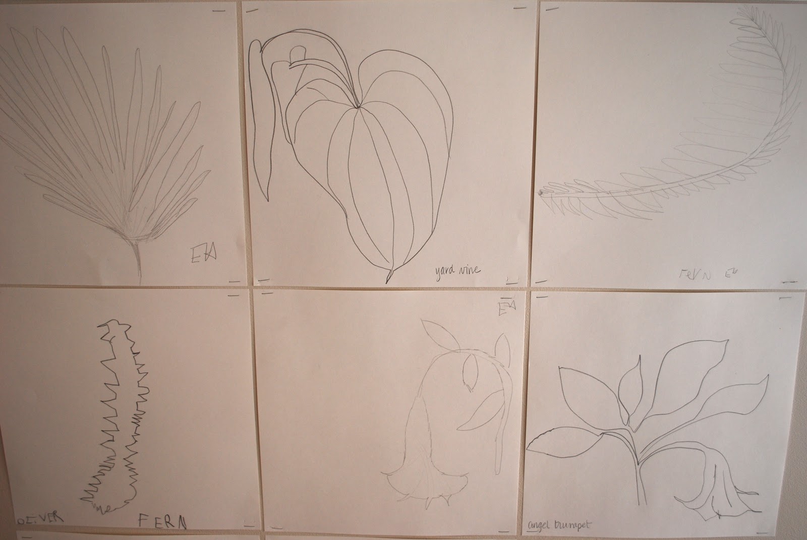 mamascout: make :: contour plant drawings