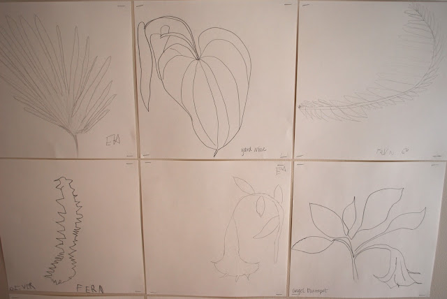 mamascout: make :: contour plant drawings