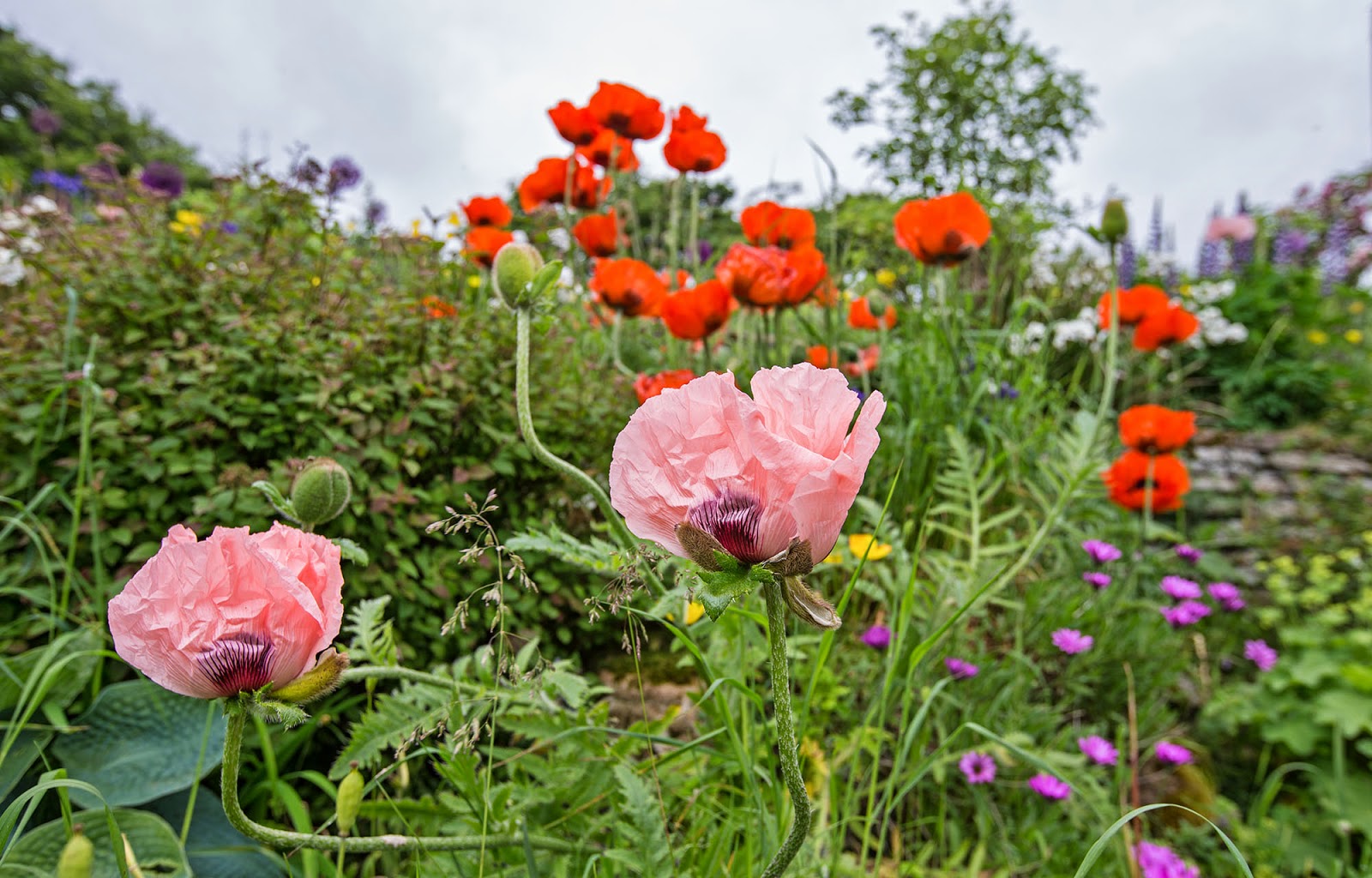Busta House Hotel Shetlands Scotland - Britain All Over Travel Guide