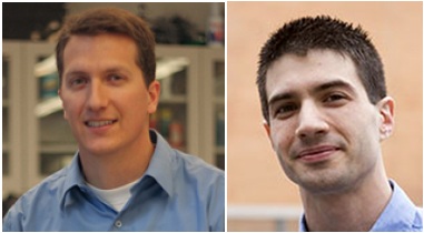 2Physics: Qubits Have Got A Bus Service