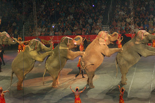 My Little Patch of Sunshine: Review: Ringling Bros and Barnum & Bailey ...