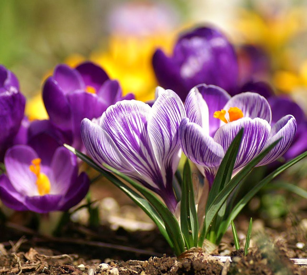 Mark Teichman's Instagram, Twitter & Facebook on IDCrawl