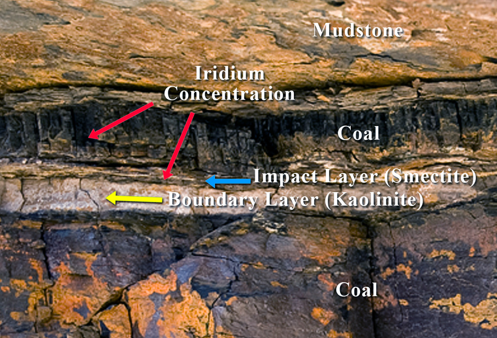 In the Company of Plants and Rocks: In Search of Iridium & the Smoking Gun