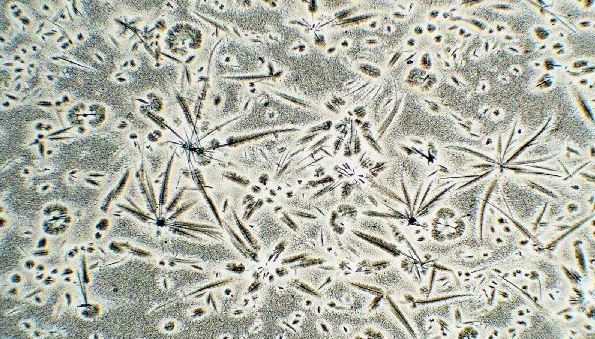 Obsidian ~ A Dead Good Blog