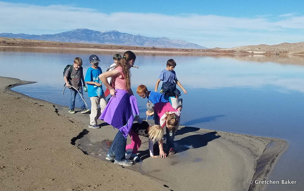 Desert Survivor: Walking Around (Through) Pruess Lake